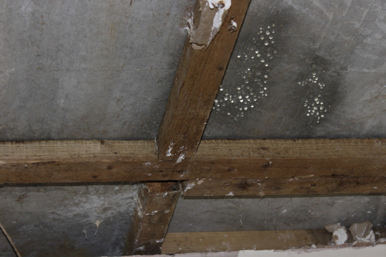 Types of Basement Waterproofing & Tanking | Diligent Developments